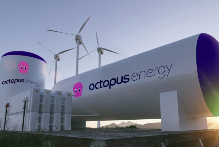 Octopus Energy Raises $800 Million to Accelerate Clean Energy Buildout ...