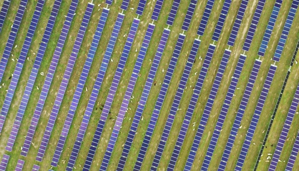 AIP Invests $500 Million in U.S. Clean Energy Producer Silicon Ranch ...